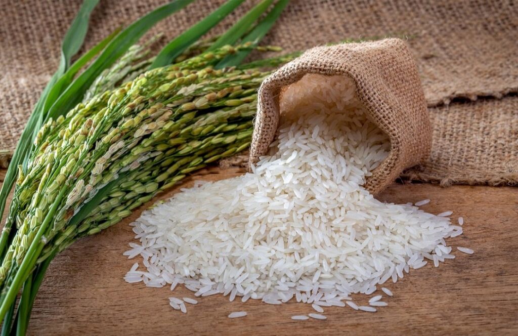 Rice – Modest Trading